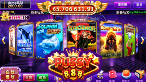 How to Choose the Best Pussy888 Game for You - Prix Des Menus