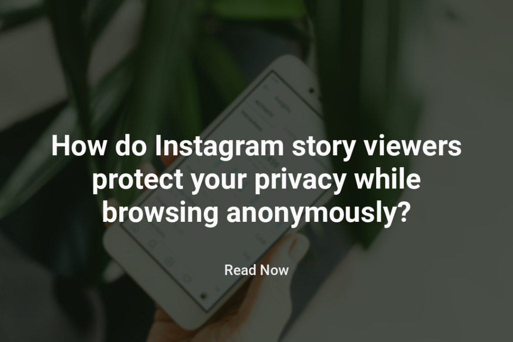 How do Instagram Story Viewers Protect their Privacy While Browsing ...